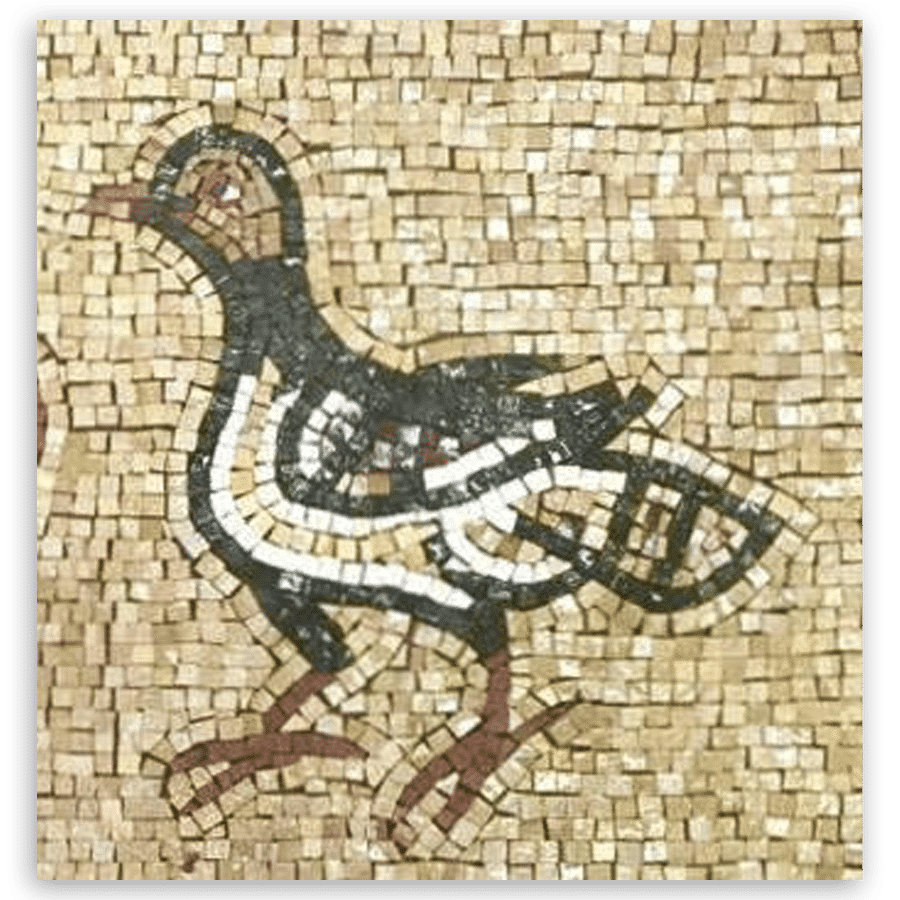 Noah's Dove - Holyland Mosaics